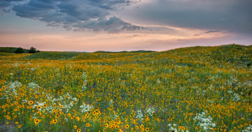 Enjoy Snowy Days and Starry Nights At This Winter Cabin Airbnb in Nebraska