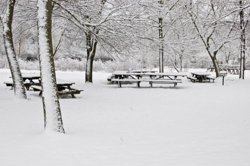 Check out 7 of the Best State Parks to Visit in the Winter in Kansas