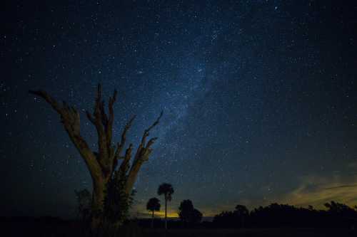 The Everglades National Park: The Best Stargazing in Florida
