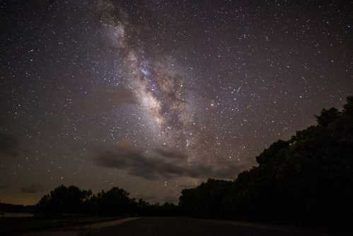The Everglades National Park: The Best Stargazing in Florida