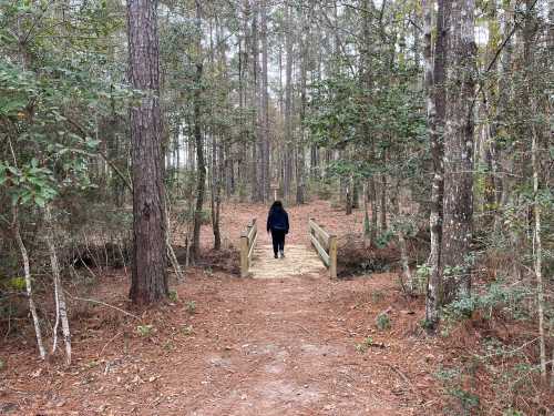 Best Hikes in Texas: Longleaf Pine Trail at Big Thicket National Preserve