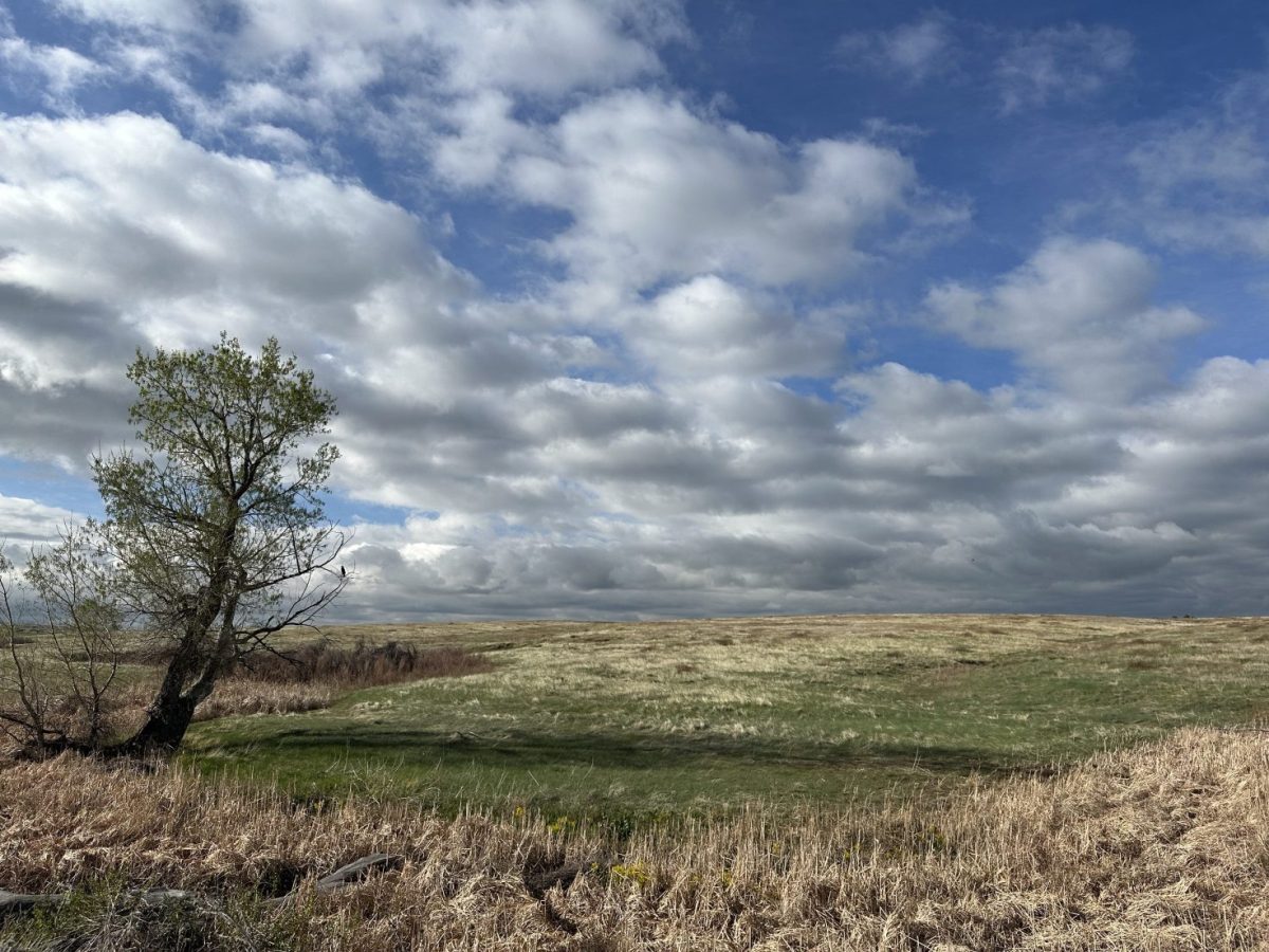 I Fell In Love with the Colorado Prarire at Aurora's Plains ...