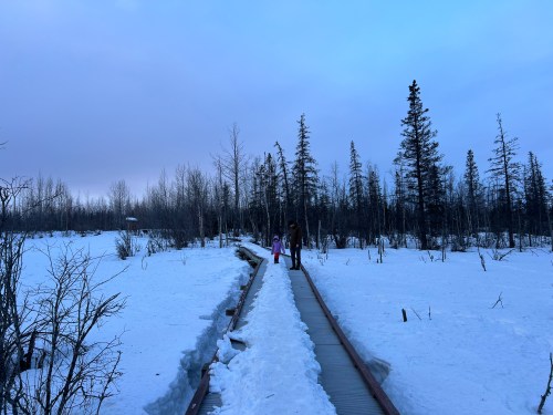 5 Winter Hikes In Alaska Easy Enough Even Your Kids Will Love Them