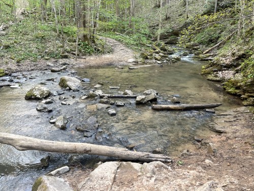 Laurel Run Falls: A Simple Waterfall Hike in Tennessee
