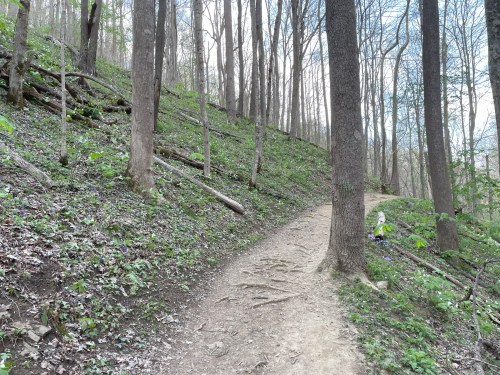 Laurel Run Falls: A Simple Waterfall Hike in Tennessee