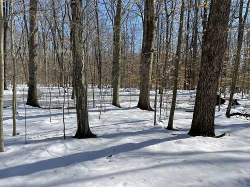 Loantaka Brook Reservation: Little-Known Hiking Path in NJ