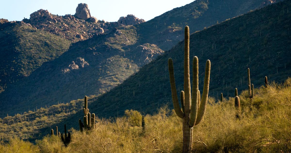 Arizona Bucket List: 26 Things to Do in 2026