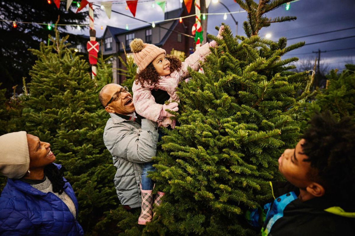 11 Magical Christmas Tree Farms to Visit in South Carolina This Season