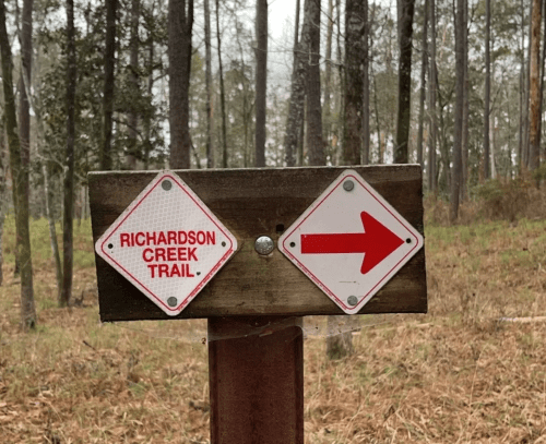 Trek This Long-Trail Through Homochitto National Forest in Mississippi