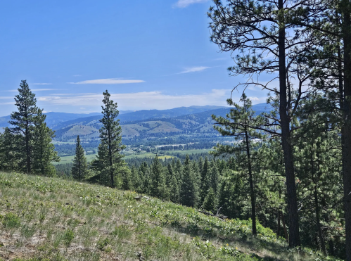 The Best Weather In Montana: 8 Towns With Mild Winters