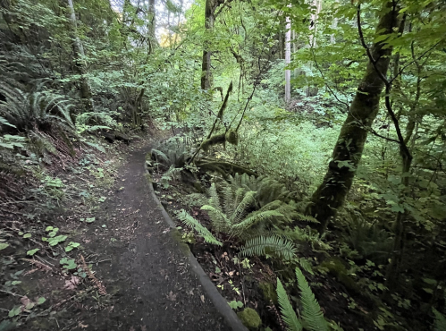 Start the New Year on the Right Foot (Literally) on This Washington Trail