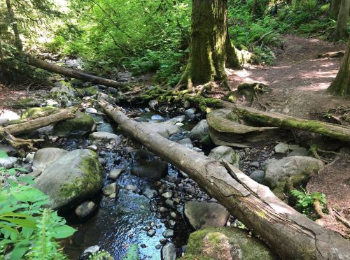 Start the New Year on the Right Foot (Literally) on This Washington Trail