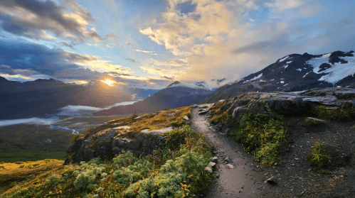 Harding Icefield Trail: Can’t-Miss Alaska Hike for Every Nature Lover’s ...