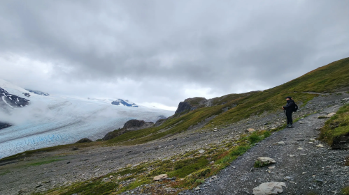 Harding Icefield Trail: Can’t-Miss Alaska Hike for Every Nature Lover’s ...
