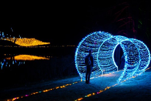 Best Walk-Thru Light Display in Virginia: Winter Wander Trail