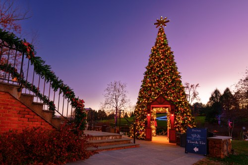 Best Walk-Thru Light Display in Virginia: Winter Wander Trail