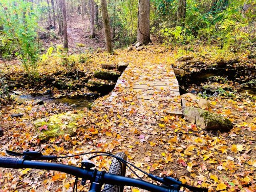 Bucket List Worthy Trails in Arkansas: Lake Alma Hiking Trail, Alma