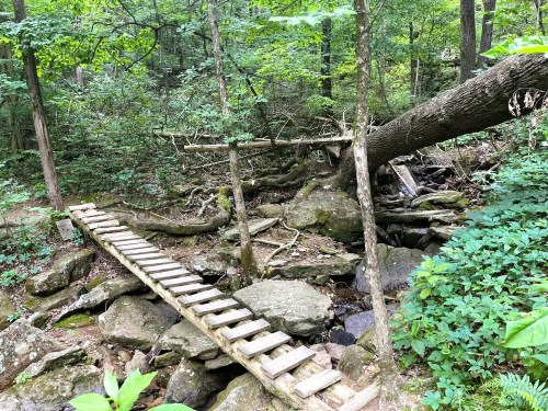 Bucket List Worthy Trails in Arkansas: Lake Alma Hiking Trail, Alma