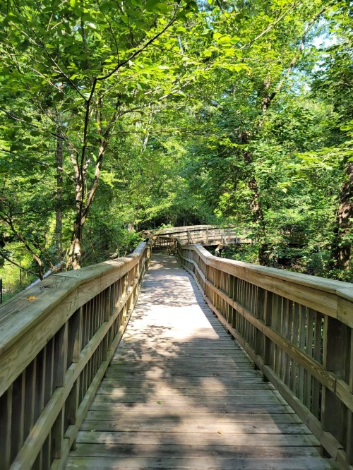 Best Hikes in Louisiana: Moon Seed Loop