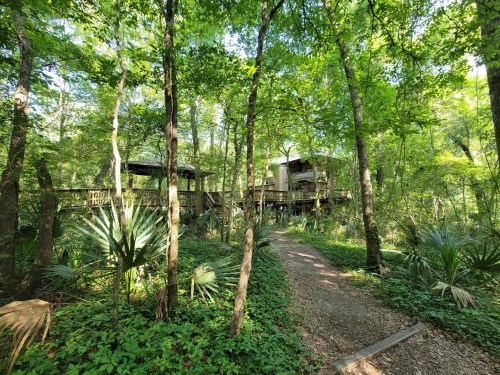 Best Hikes in Louisiana: Moon Seed Loop