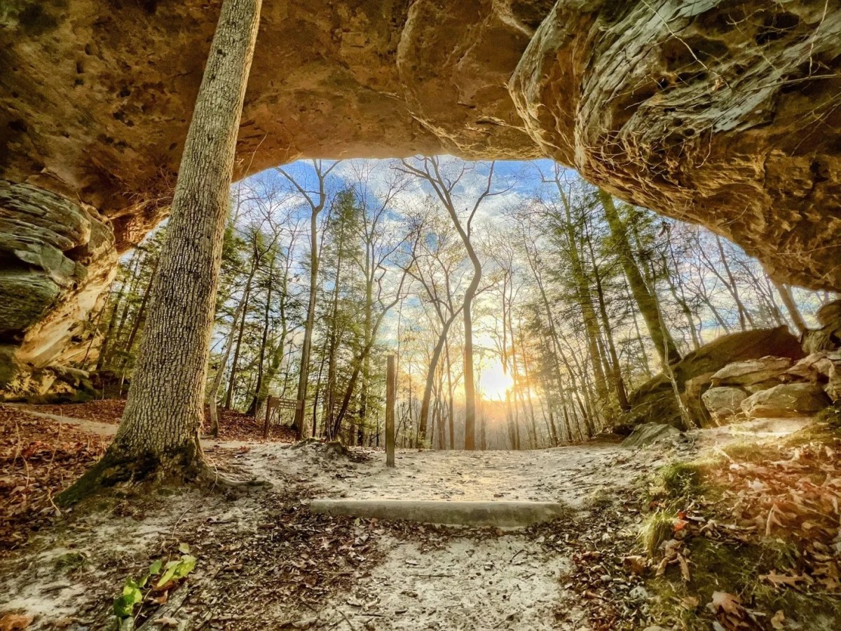 25 Must-Do Tennessee Bucket List Items for my 2025 Year