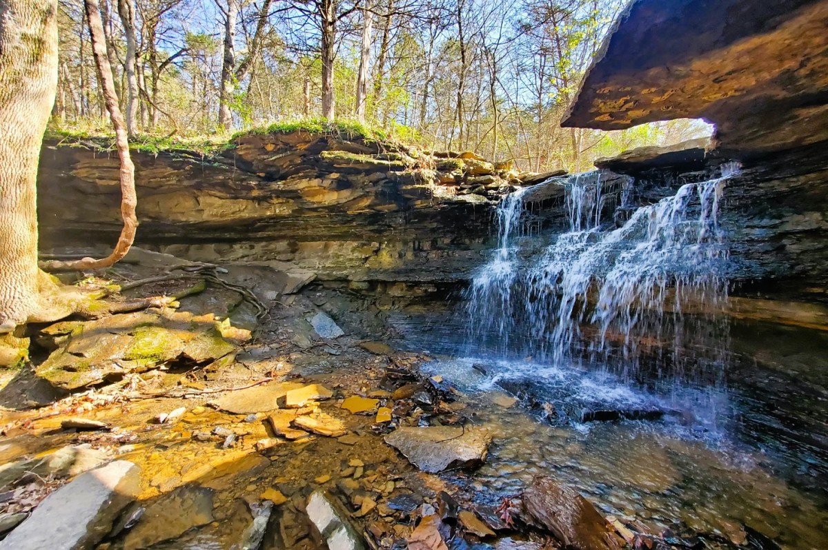Bucket List Worthy Trails in Arkansas: Lake Alma Hiking Trail, Alma
