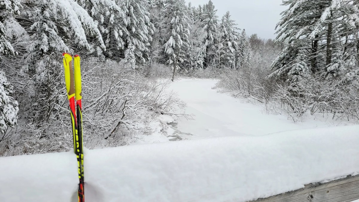 Mercer, Wisconsin: A Small Town in Wisconsin That Comes Alive During ...