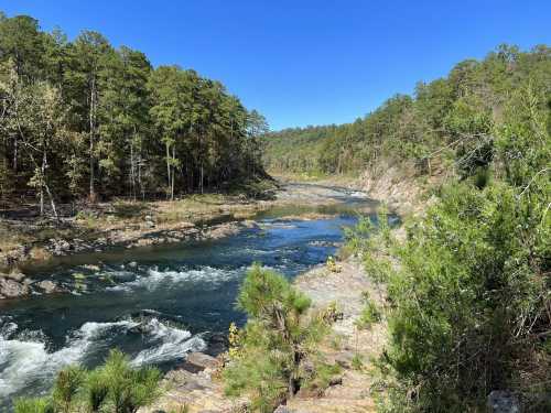 The Haunted Parallel Forest in Oklahoma Is Truly, Deeply Creepy