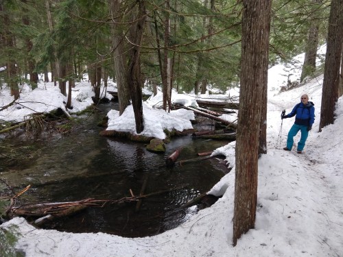 The Ross Creek Winter Trail in Montana is Our Favorite First Hike of ...