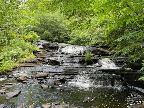 11 Best Day Trips in Massachusetts