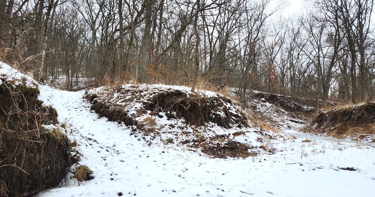 This Little Known Hiking Path in Iowa is Our Favorite First Hike of the ...
