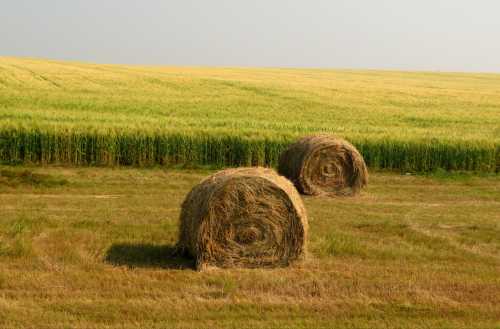 9 “Hidden Gems” in North Dakota We’ve Always Known About but Can’t Stop ...