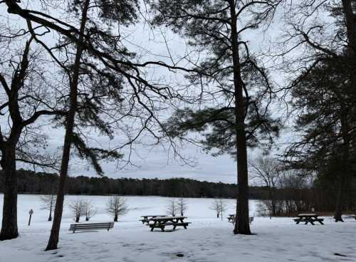Enchanting Winter Hike in Delaware