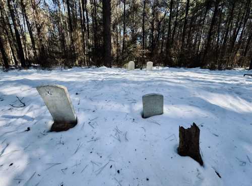 Enchanting Winter Hike in Delaware
