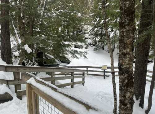 Little Known Hike in New Hampshire: Basin Cascade Trail