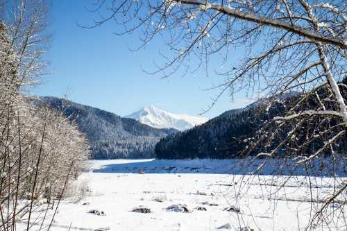Things To Do In Mount Angel, Oregon: A Bavarian Town In The US