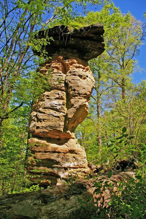 12 Fun Things to do in Indiana You Need to Experience in 2025