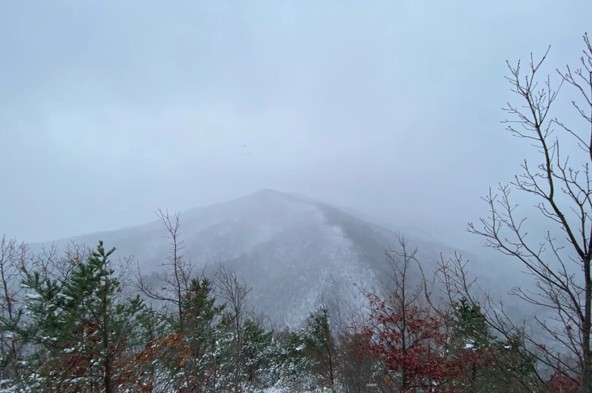 A Winter Hike in Tennessee: The Whitehouse Cliffs Trail