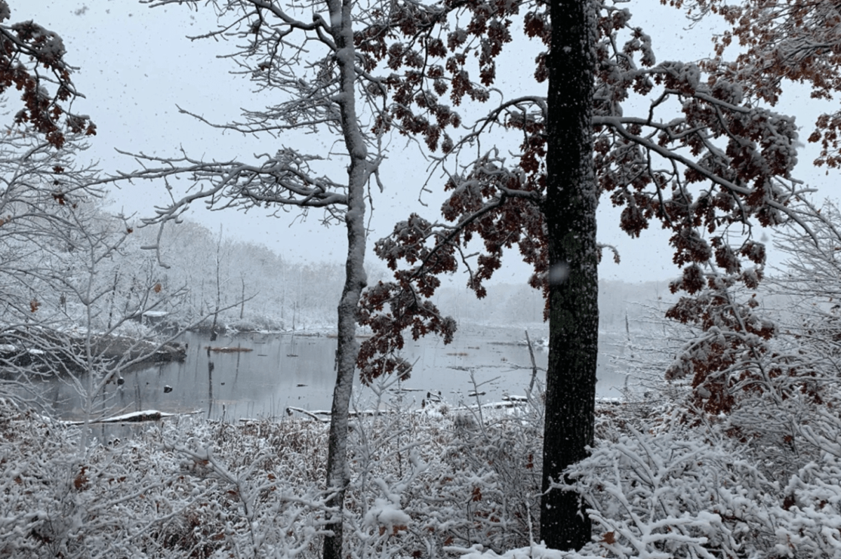 Must-Visit Winter Destination in Connecticut