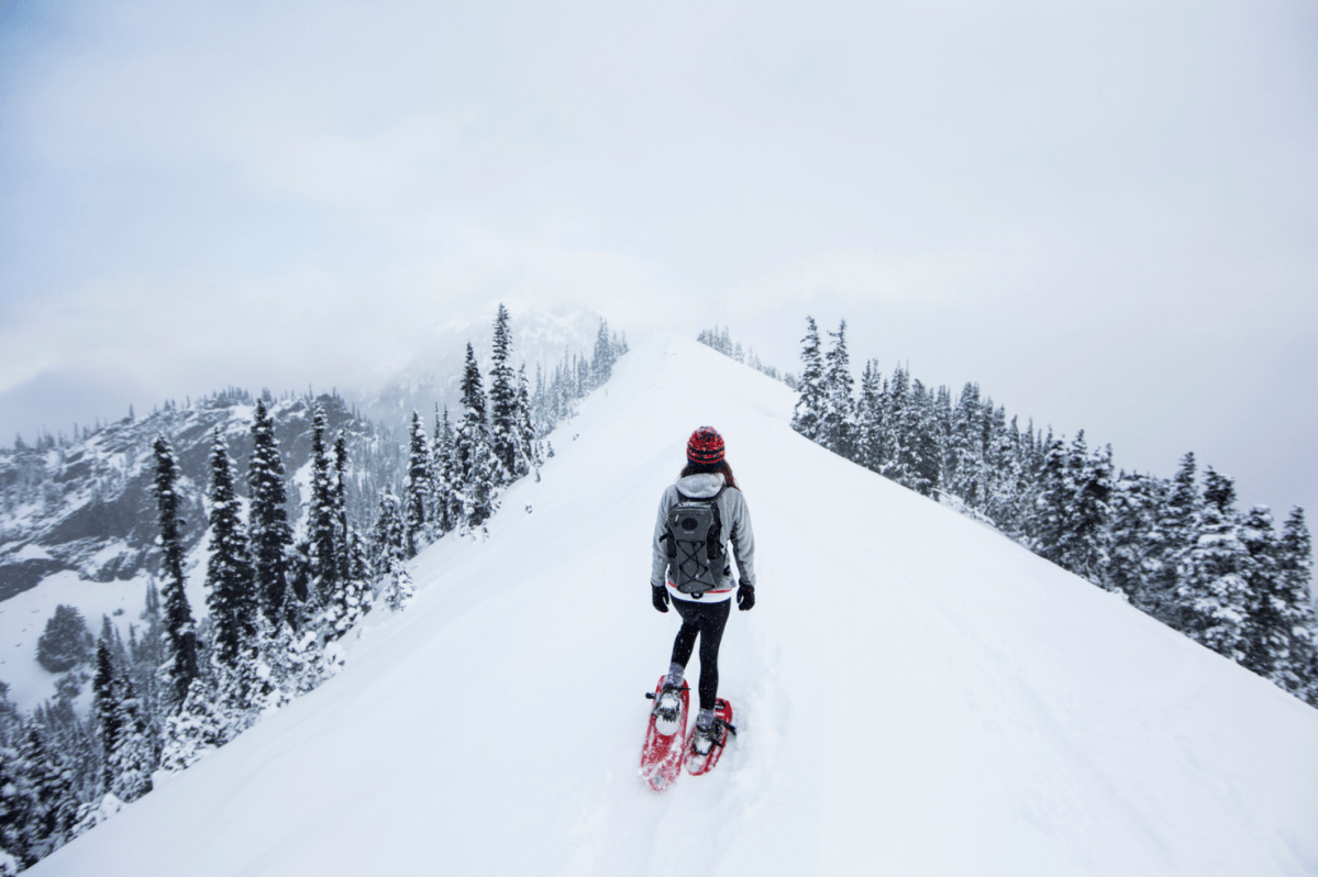 Winter Is the Best Time to Visit Hurricane Ridge in Olympic National Park
