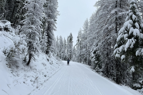 The Best Weather In Montana: 8 Towns With Mild Winters