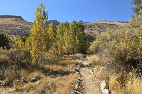 6 Scenic Train Rides In Nevada You'll Want To Take