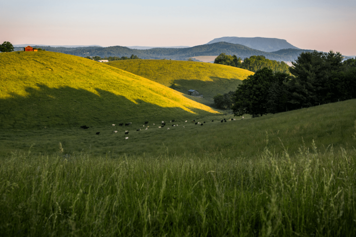 12 Incredible Small Towns To Visit In Virginia