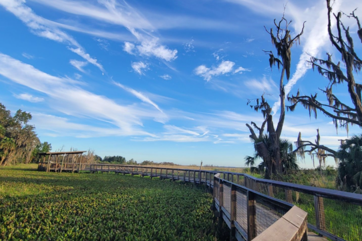 The Marvelous 2.9-Mile Trail in Florida Leads Adventurers to a Little ...
