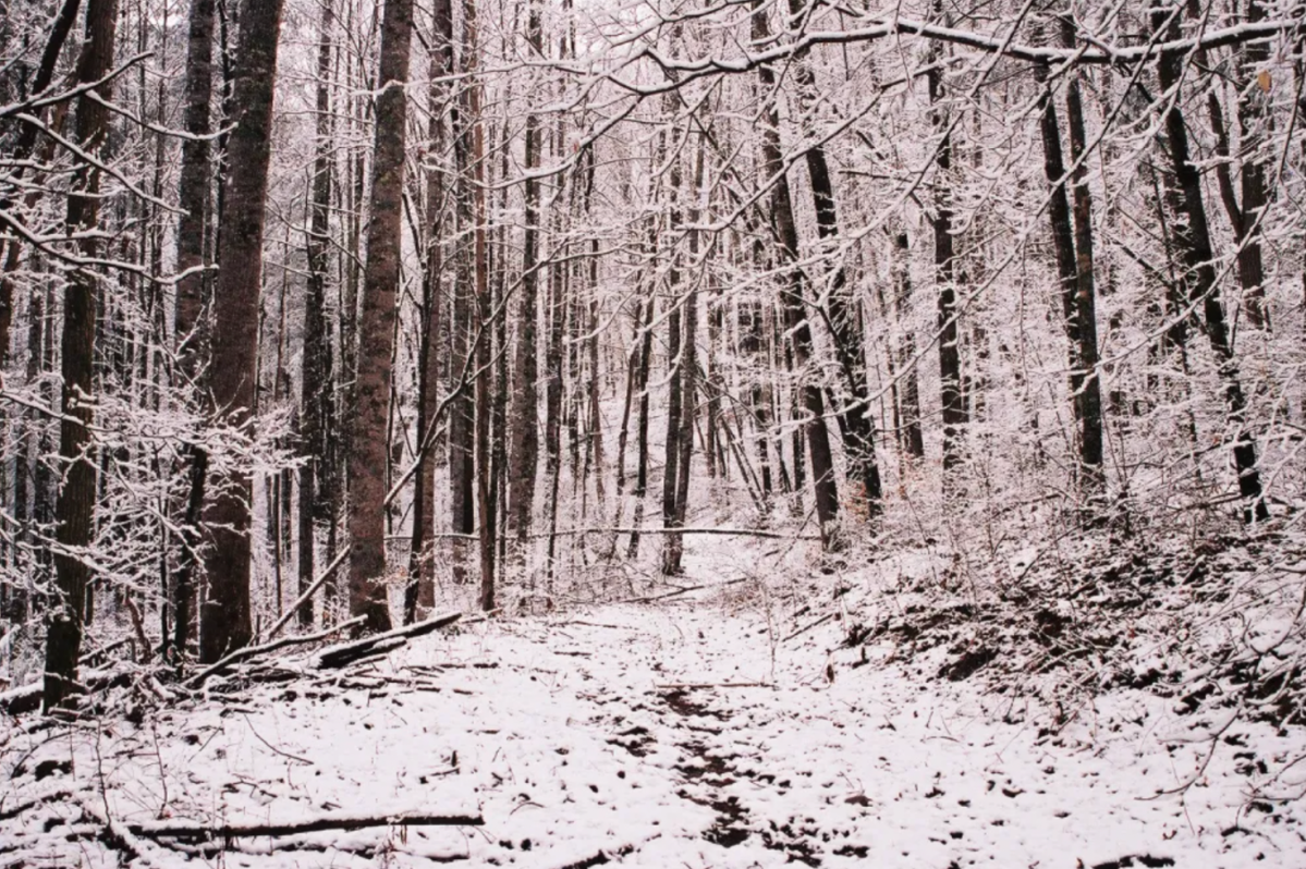 Best Winter Trails in North Carolina: Hike John Rock Trail Near Brevard NC