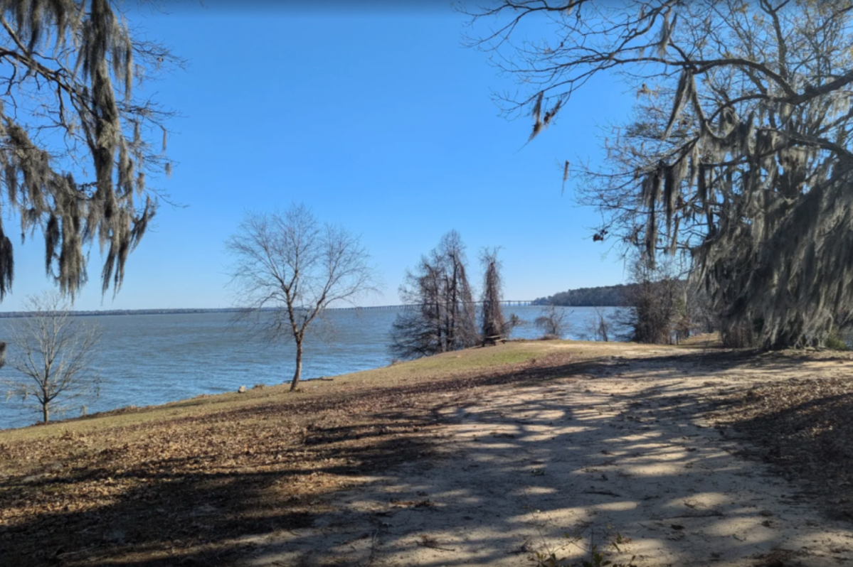 Best Winter Parks in South Carolina: Explore Santee State Park in ...