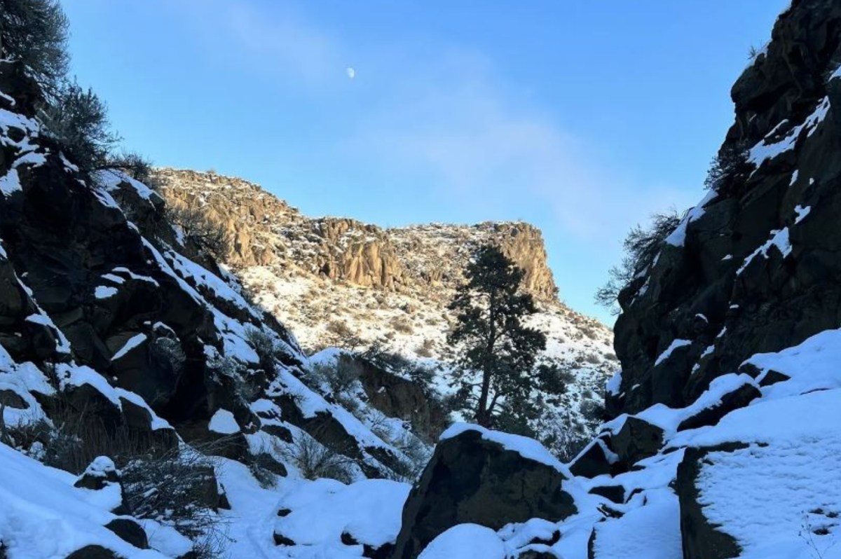 Embrace the Cold and Enjoy A Scenic Winter Hike Through Cowiche Canyon ...