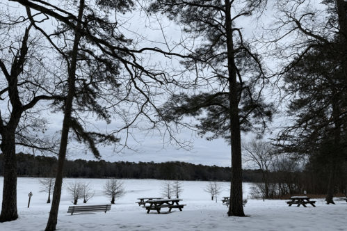 10 Quaint Small Towns In Rural Delaware