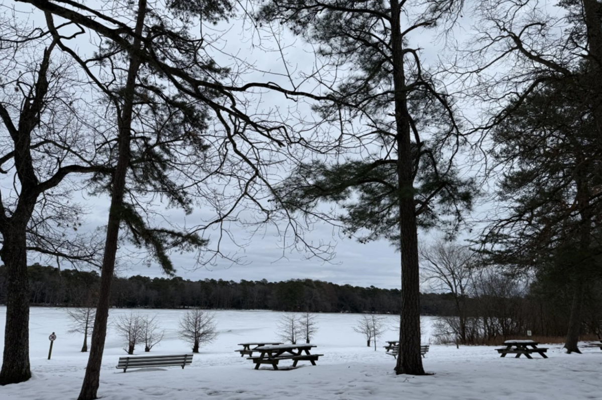 Enchanting Winter Hike in Delaware