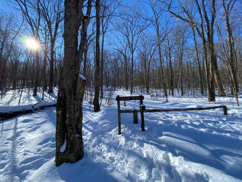 Mount Tom Tower Trail: Incredible Winter Hike in Connecticut